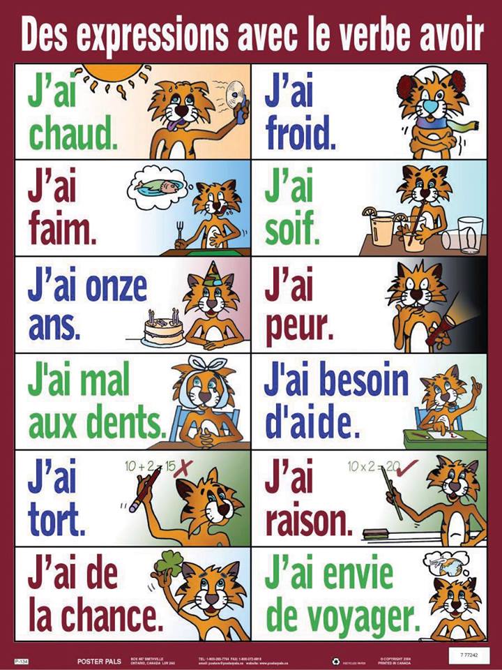 Des expressions avec Avoir. Expresiones con Avoir